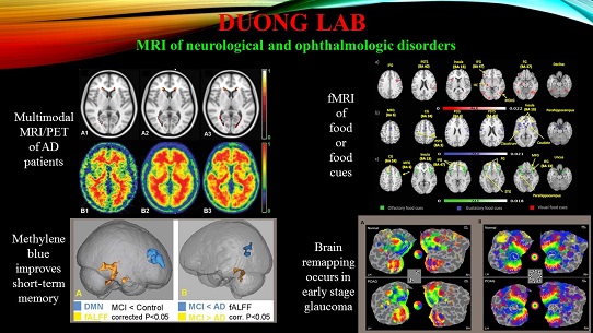 Radiology: Research Faculty Banner | Renaissance School of Medicine at ...